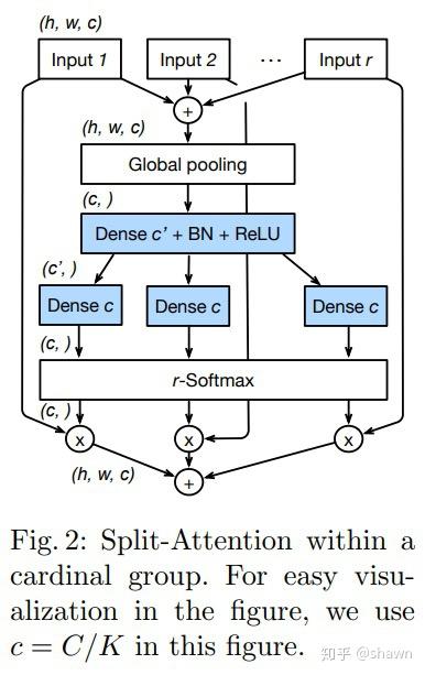 ResNeSt Split Attention Networks - 知乎