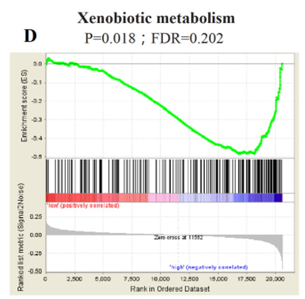 如何实现GSEA-基因富集分析？ - 知乎