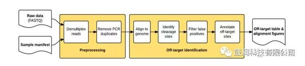 GUIDE-Seq——准确、高效的真核细胞内CRISPR基因编辑的在靶与脱靶效率评估方法-技术前沿-资讯-生物在线