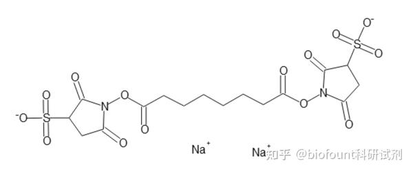BS3交联剂，伯胺反应性交联剂 - 知乎