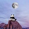  pandas thresh 