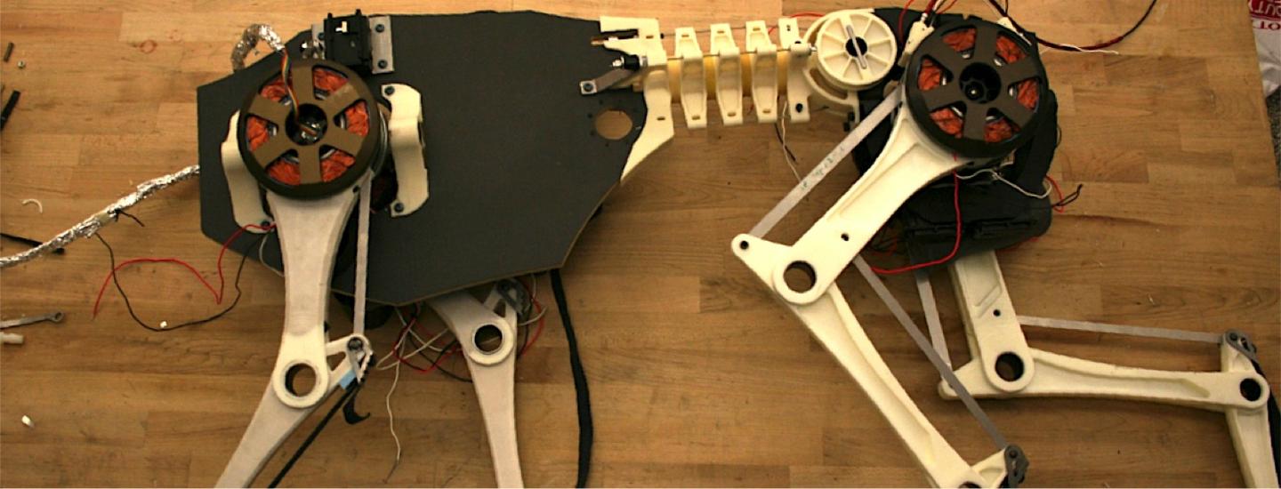 向自然学习，MIT的生物启发式机器人 - 知乎