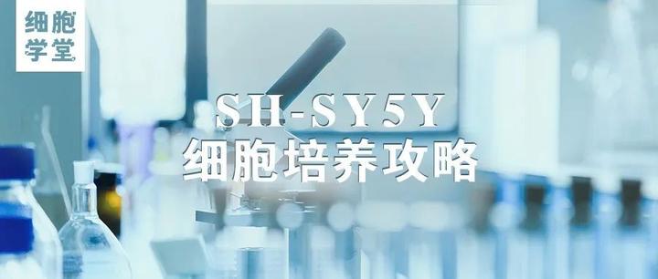 细胞学堂 | 如何养好SH-SY5Y - 知乎