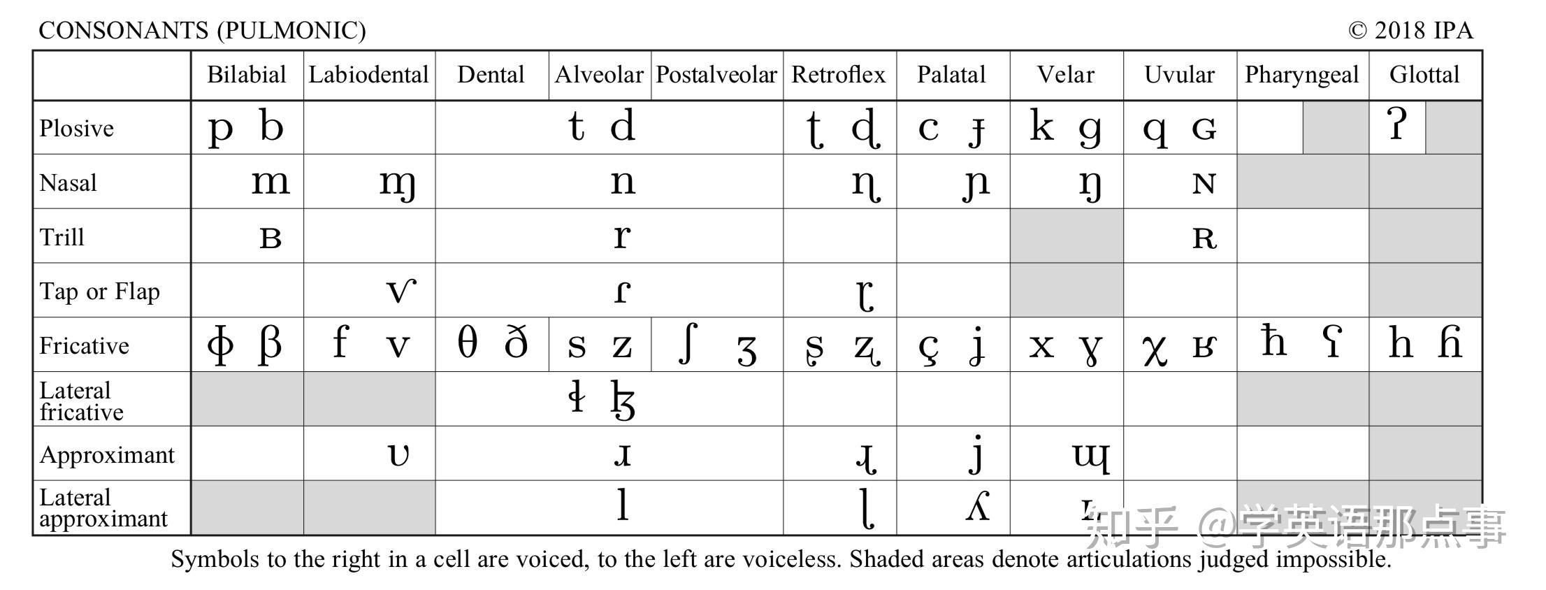 用这款小众app自学国际音标（IPA），完美！ - 知乎