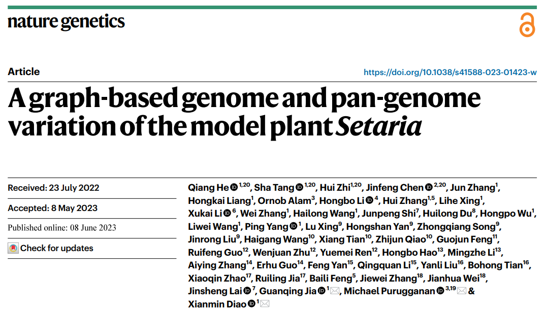 专家点评 Nature Genetics | 刁现民团队解析谷子高质量图基因组，开启大规模种质资源发掘利用新篇章 - 知乎