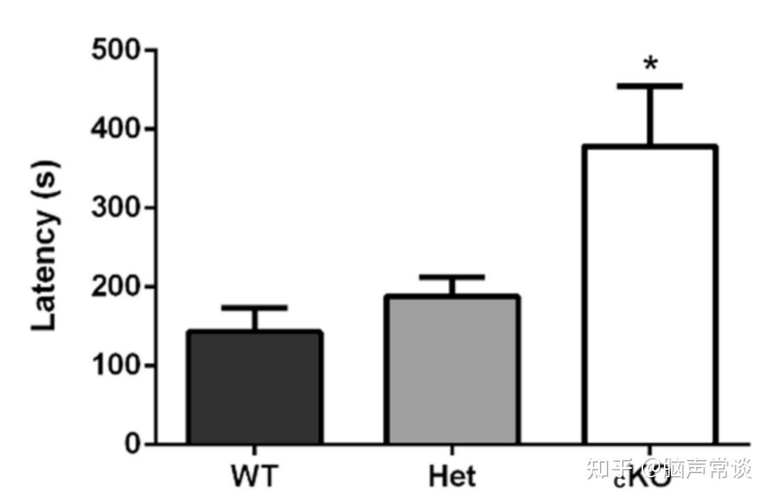 脑声常谈丨动物行为实验指南：评估小鼠嗅觉能力的实验—埋藏食物搜寻测试 - 知乎