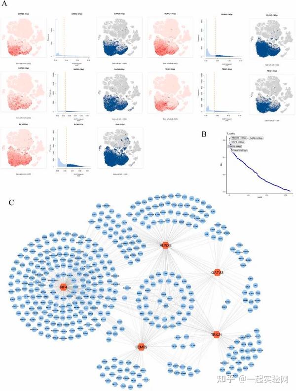 6+：单细胞测序+转录组测序+免疫细胞联合分析新思路 - 知乎