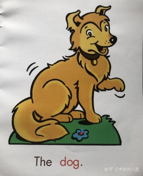 不会做英语输出？求你了，快去看Susan吧！ - 知乎