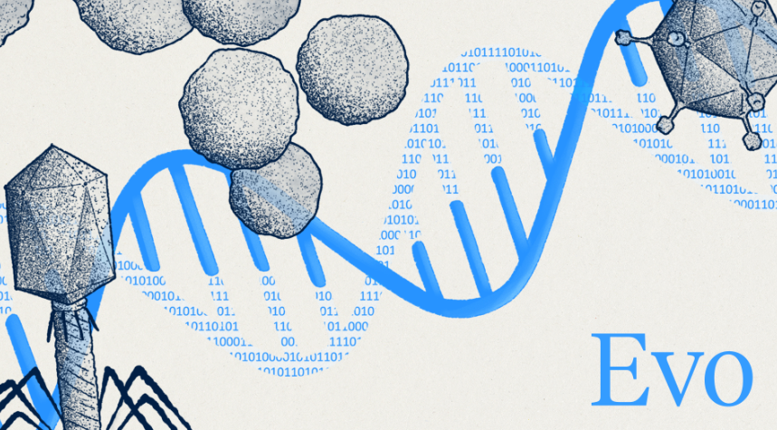 新物种、新 CRISPR 系统！Evo 大模型突破全基因组生成，创造生物大模型新标杆 - 知乎