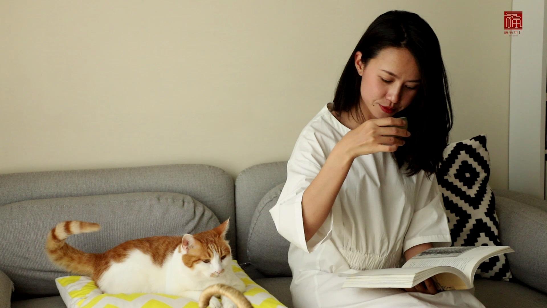 7576 | 数字茶里，藏有经典高级味 - 知乎