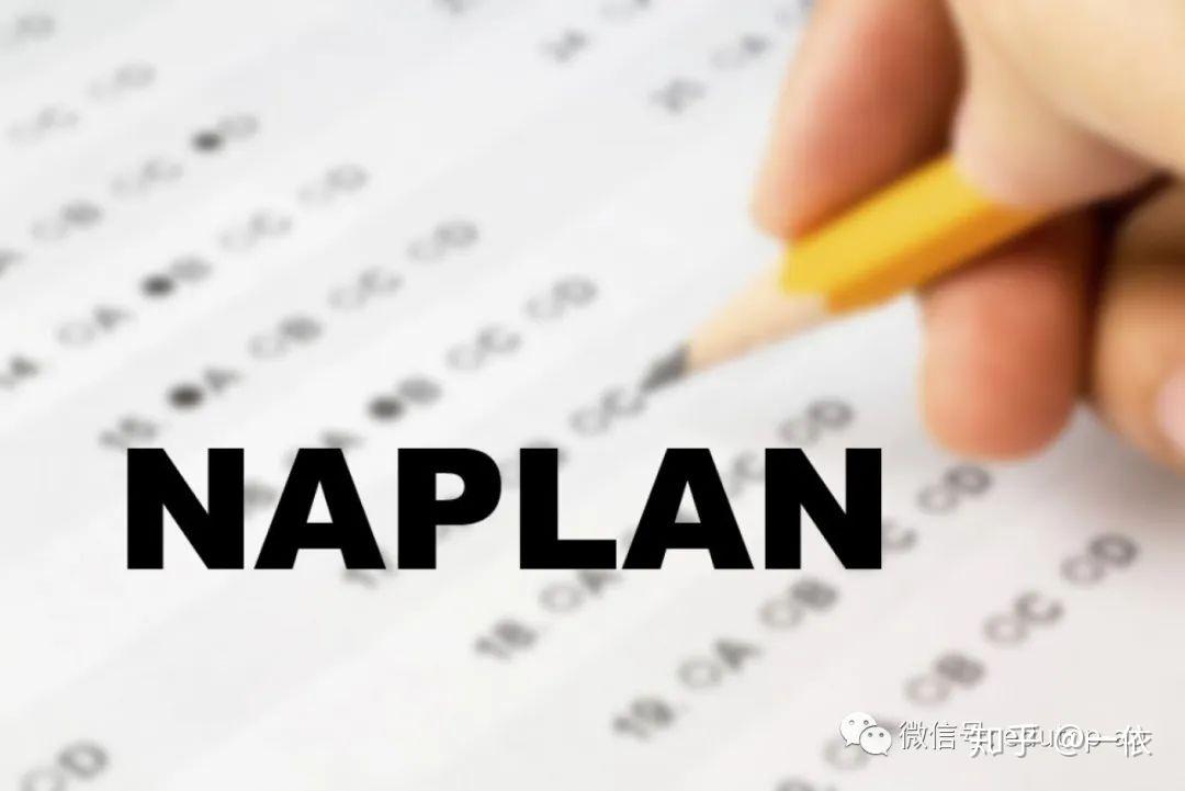 关于NAPLAN的这些事你必须知道 - 知乎