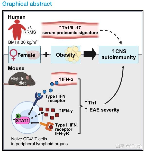 学会绘制图形摘要（Graphical Abstract），让你的研究狠狠抓住审稿人 - 知乎