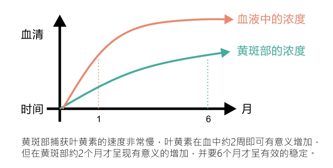 叶黄素对眼睛有好处吗? 知乎