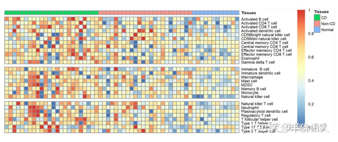 又见非肿瘤75分sci，生信分析组化验证 可重复 知乎 