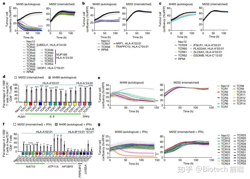 Nature丨新抗原靶向CD8+T细胞应答是PD-1治疗关键 - 知乎