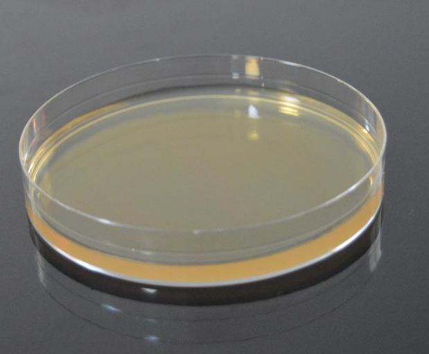 常见微生物培养基介绍