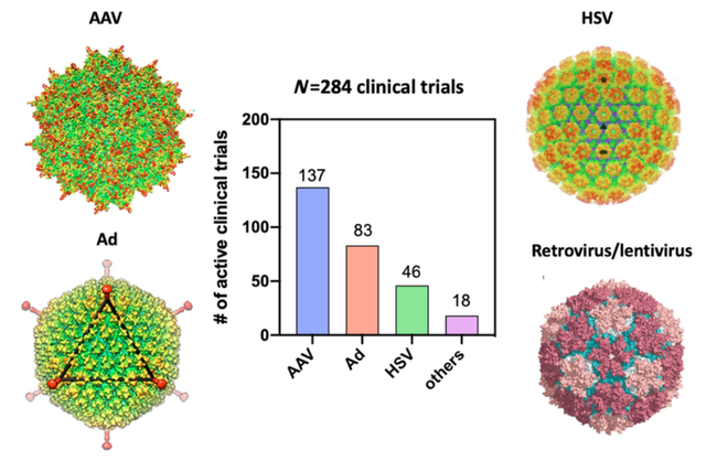 逐典分享丨基因治疗的主要病毒载体 - 知乎