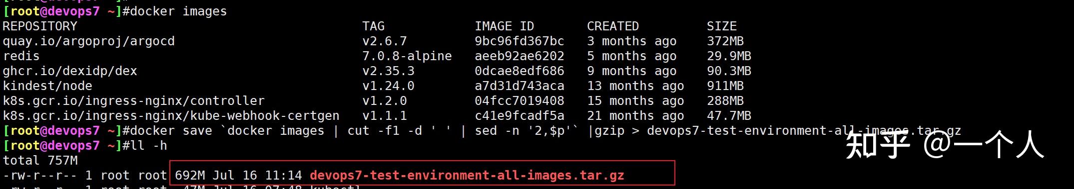 Devops7实验环境搭建(terraform-kind-k8s-argocd) - 知乎