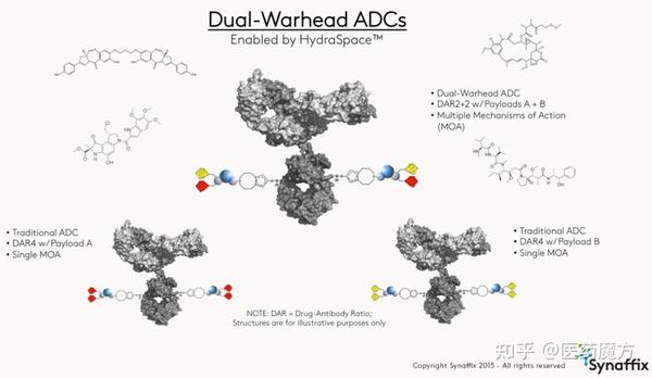 多项授权合作，Synaffix公司ADC专利技术解析 - 知乎