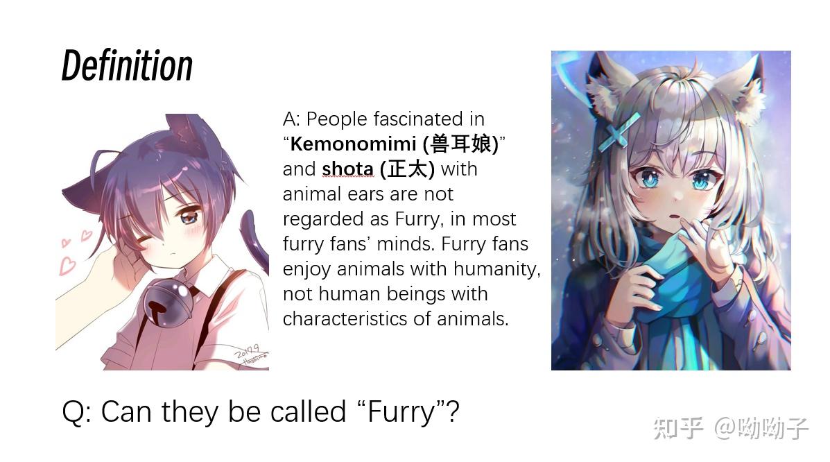 A Brief Introduction of Furry Culture and Furry Fandom - 知乎