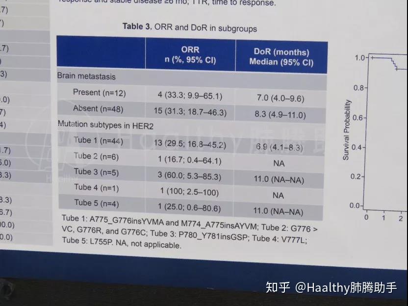 “大国重器”吡咯替尼，国产已上市，HER2患者触手可得的希望 - 知乎