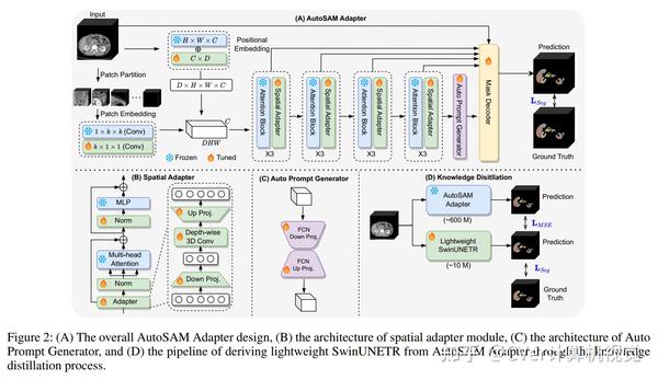 首个！AutoSAM Adapter：自动提示SAM以实现强大的3D医学图像分割 - 知乎