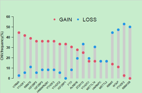 【SCI复现】绘制CNV棒棒糖图 - 知乎