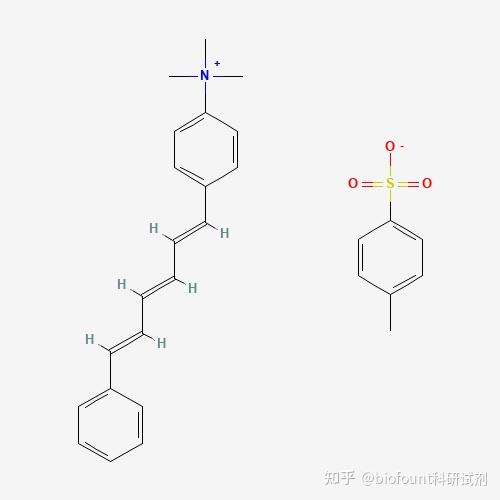 TMA DPH；细胞膜流动性荧光膜探针 - 知乎