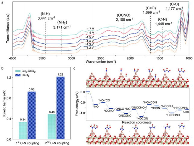 湖南大学王双印&陈晨【AM】电催化：尿素合成中铜单原子的动态重构 - 知乎