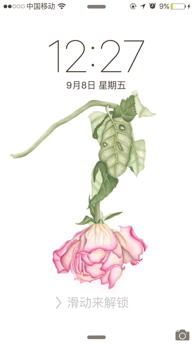 一组玫瑰手机壁纸&你最中意图几呢？ - 知乎