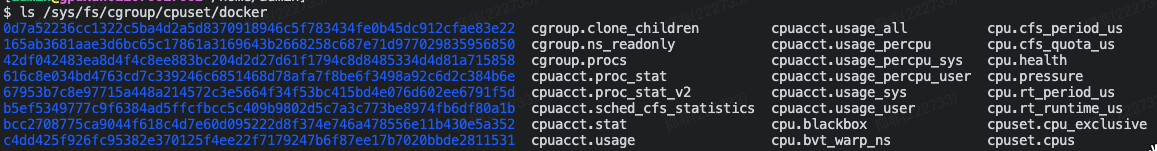 onnx 在docker内报错pthread_setaffinity_np failed for thread - 知乎