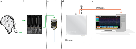 神经科学方法-教你使用Open Ephys - 知乎