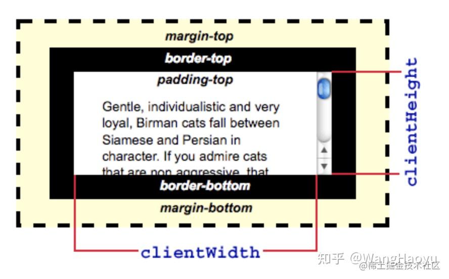 一文彻底搞懂js中的位置计算 - 知乎