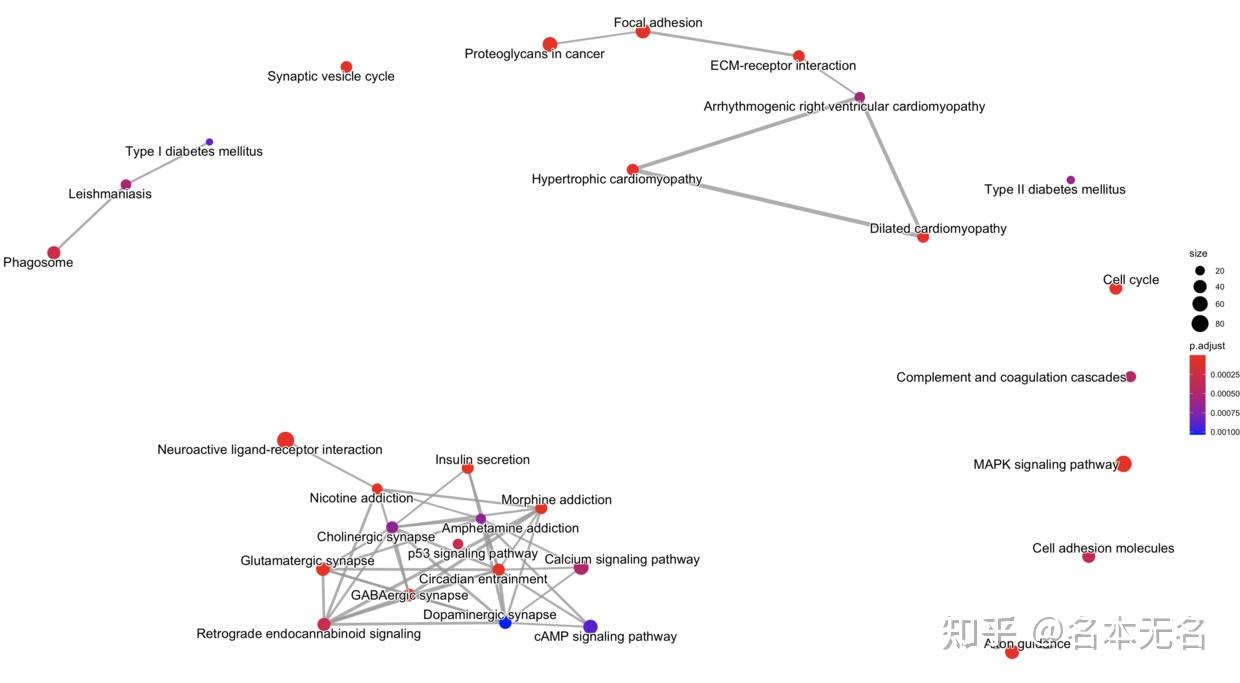 TCGA 数据分析实战 —— 富集分析 - 知乎