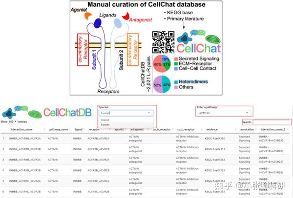 工具篇丨你竟然不知道的细胞-细胞通讯神仙分析工具，帮你实现一条龙分析！ - 知乎