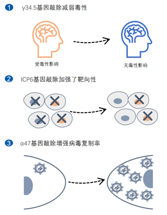 溶瘤病毒行业深度研究报告 - 知乎