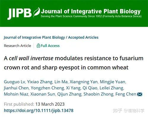JIPB | 河南农业大学陈锋课题组发现小麦茎基腐病抗性新基因 - 知乎
