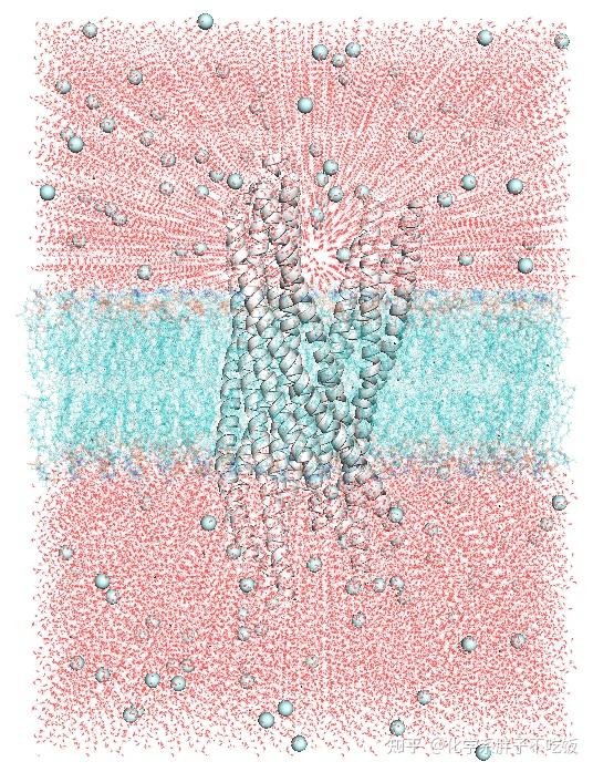 【GROMACS进阶】膜蛋白体系MD模拟教程 - 知乎