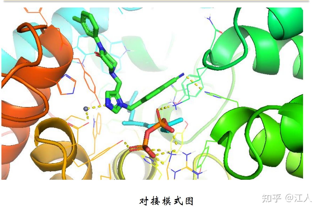 最新分子对接教程（全）-分子对接操作 - 知乎