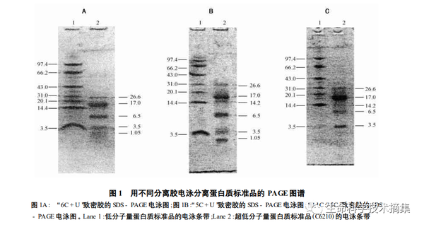 有效分离 1kDa 小肽的 蛋白电泳方法 - 知乎