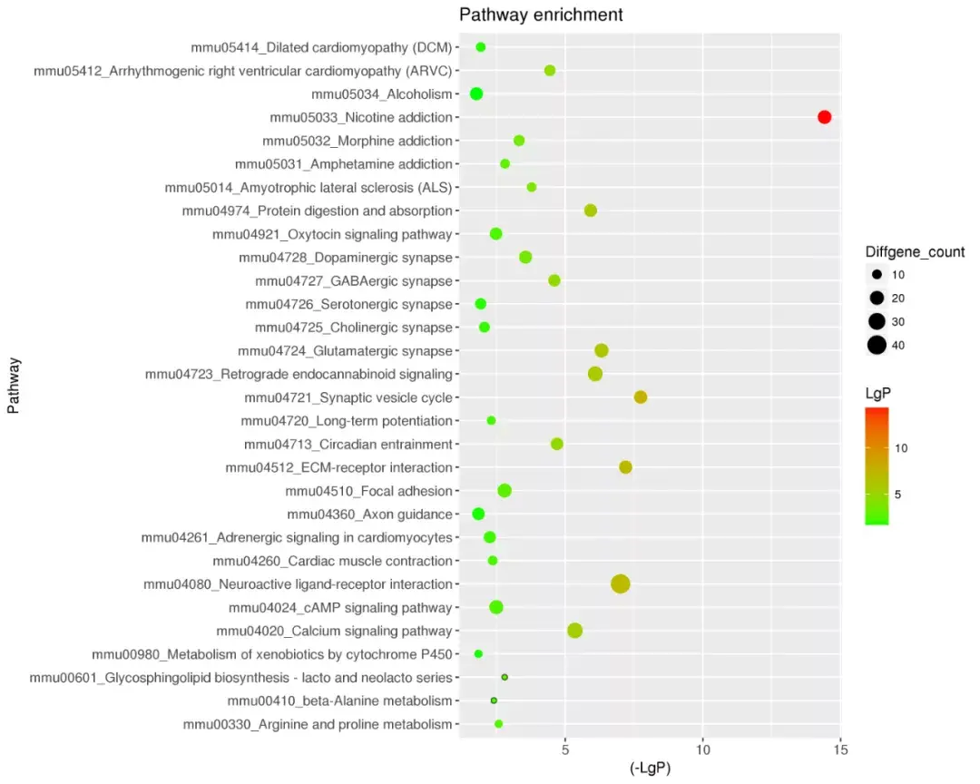 实用指南丨GSEA详细使用指南与避坑要点 - 知乎