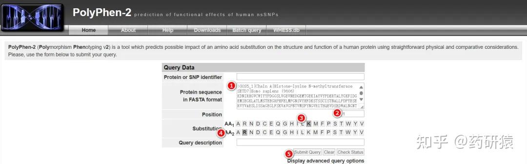 PolyPhen-2：预测氨基酸突变对"蛋白功能"影响的利器 - 知乎
