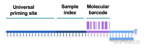 未知融合基因检测 - 知乎
