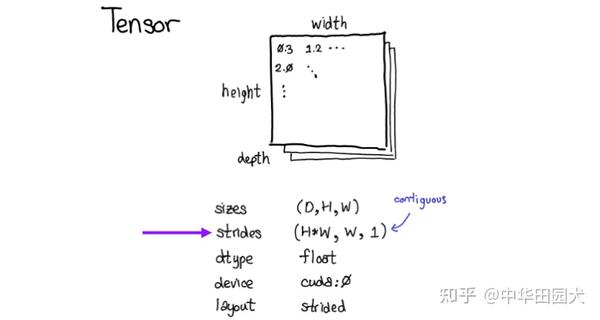 Pytorch 001 基本结构内部机制底层概览 知乎 