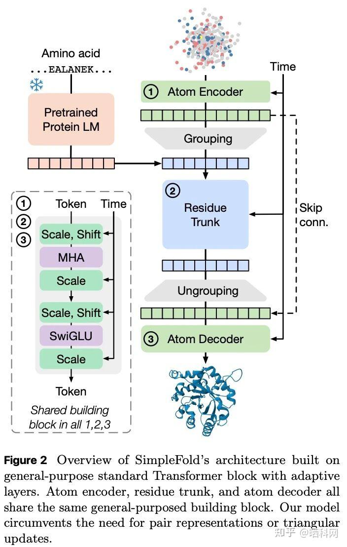 颠覆性范式！苹果发布首个基于流匹配的蛋白质折叠模型SimpleFold，大幅简化架构设计 - 知乎