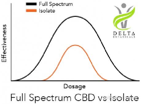 什么是全谱CBD (Full Spectrum CBD) - 知乎