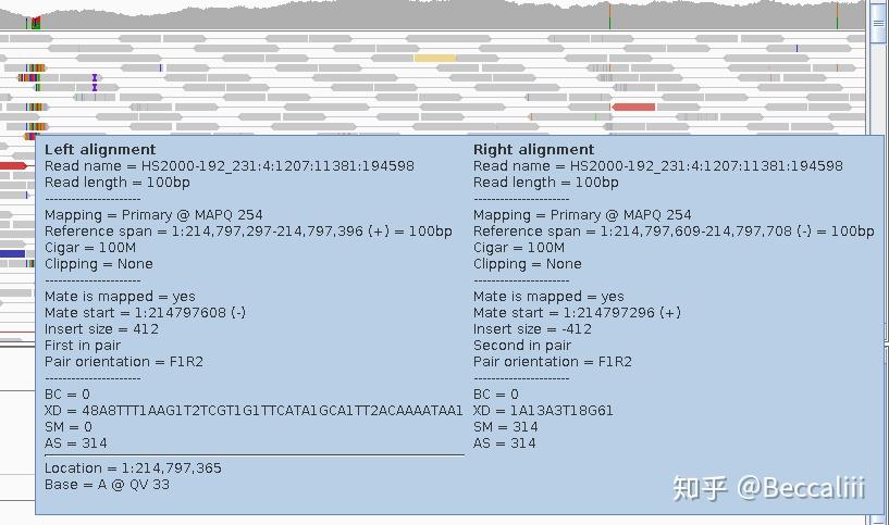 服务器安装IGV并在本地电脑使用 - 知乎