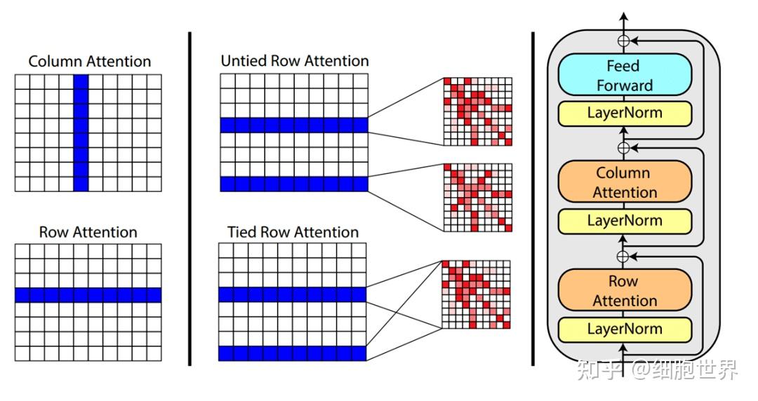 AlphaFold2从设计原理，算法到应用 - 知乎