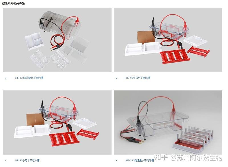 水平电泳槽HE120 的使用方法 - 知乎