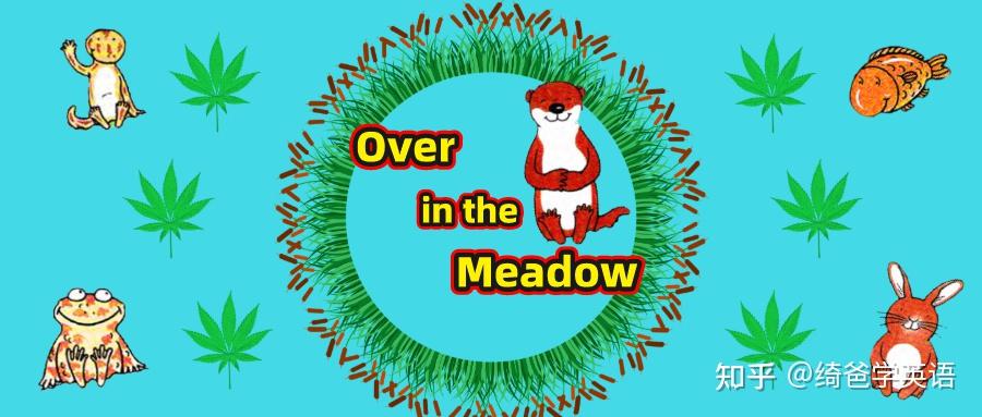 英语启蒙：绘本精读+手工游戏~Over in the Meadow - 知乎